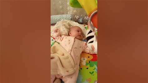 שיה שיה Youtube