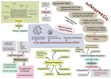 Focal Segmental Glomerulosclerosis Fsgs Creative Med Doses