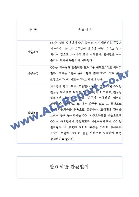 만0세만1세만2세 혼합반 6개영역 평가제 관찰일지 102page 아주 자세합니다유아보육실습일지