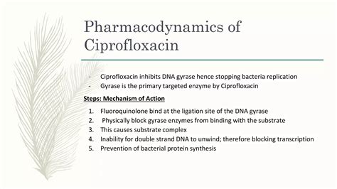 Quinolones Ppt