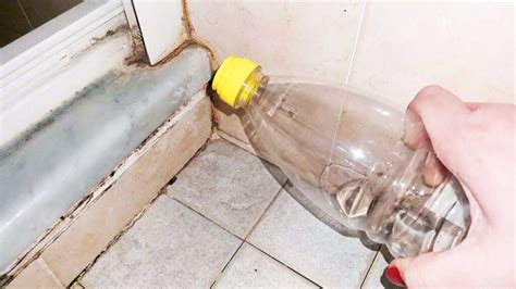 Come non avere più macchie di muffa dagli angoli nel bagno Rimedi
