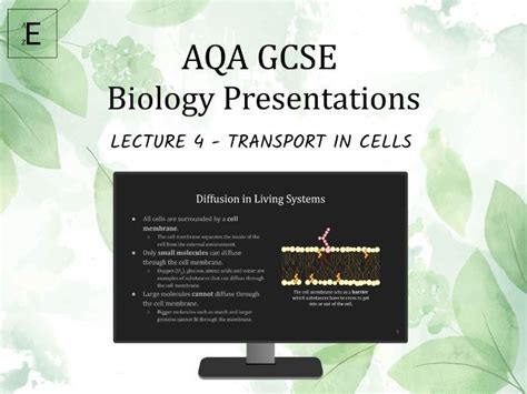 Aqa Gcse Biology Lecture 4 Transport In Cells Teaching Resources