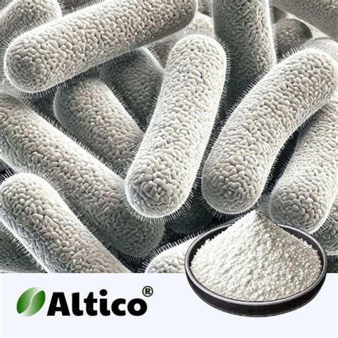 Lactobacillus Rhamnosus Gg Natural Sustainable Quality