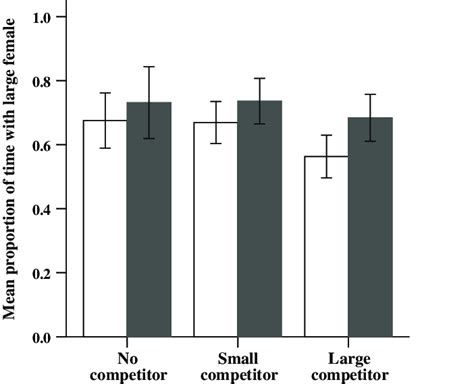 Raw Data Showing Proportion Of Time Spent In Association With Large