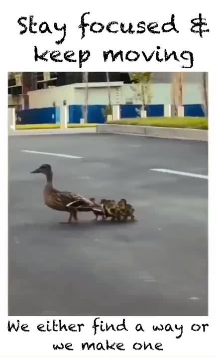 Muhammad Hammad Yasir Khan On Linkedin Repost