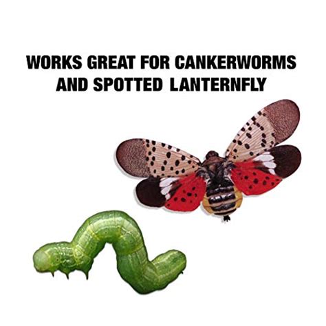 Catchmaster Tree Banding Insect Adhesive Barrier Protective Sticky Glue Trap Full KIT