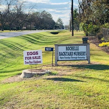 Rochelle Backyard Nursery Rochelle Ga