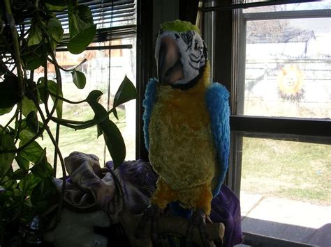 Remote Controlled Parrot 5 Garage Sales Auction Finds Parrot
