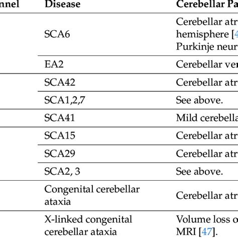 Cerebellar Microcircuit Variants A Canonical Circuit Of The