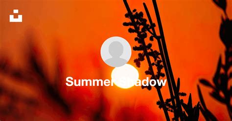 Summer Shadow Summershadow Unsplash Photo Community