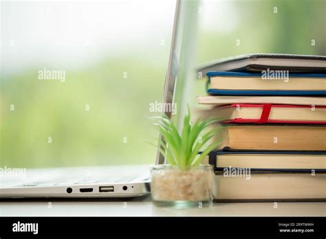 Object Education Green Nature Background With Stack Of Ancient Books Or Old Bible Open Paper