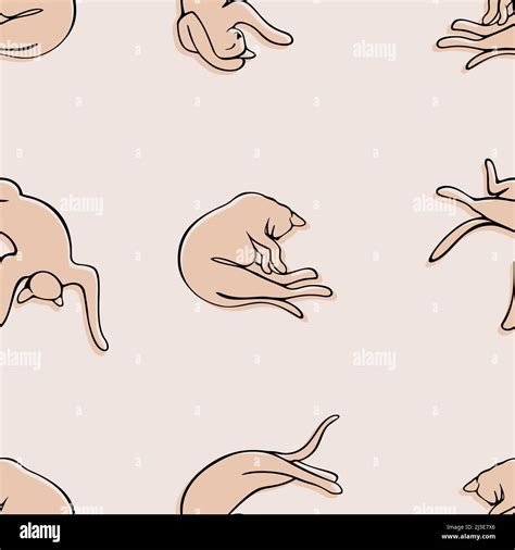 Beautiful Pattern Of Hand Drown Cat In One Line Drawing Style And