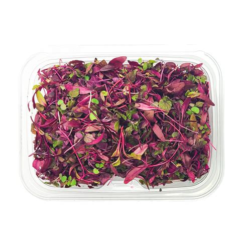 micro ruby mix bold red microgreens blend weqook ny