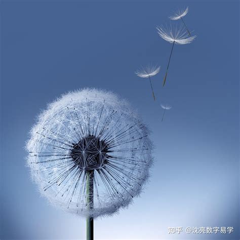 沈亮数字能量学捞金路上这几种情况你是否遇到过呢 知乎