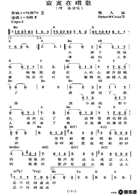 《寂寞在唱歌》最新曲谱阿桑 阿桑钢琴谱吉他谱 新乐谱