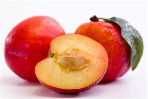 Vitamins Downstream Demand Low And Transactions Sluggish