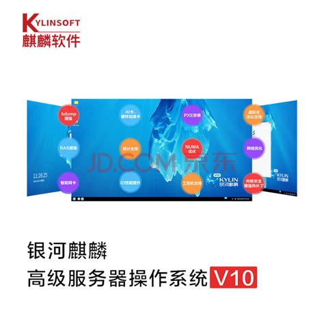 银河麒麟高级服务器操作系统 V10 三年版 国防版 浙江新远方信息产业发展有限公司