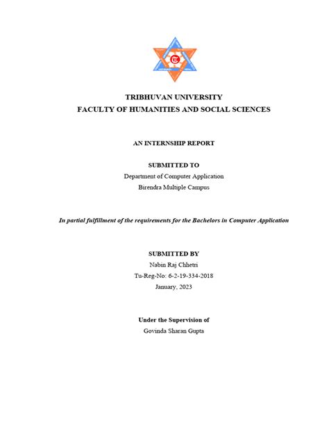 internship report sample pdf mobile app web development