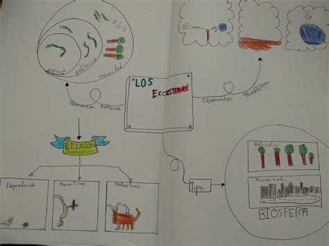 Aulainnova Visual Thinking Ecosistemas 3º De Primaria