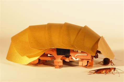 Cockroach Inspires Robot That Squishes Down To Crawl Through Cracks And