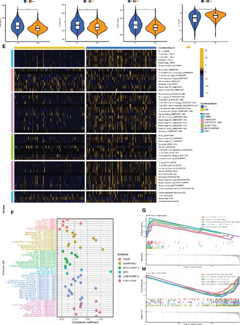 Immune Microenvironment Analysis A D Comparisons Of The Stromal Download Scientific Diagram