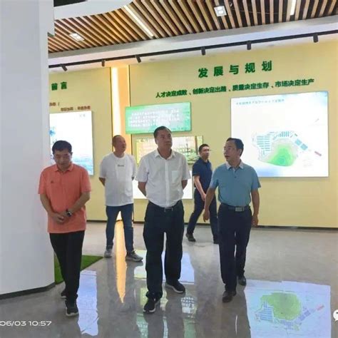 钟恒钦到大化调研产业发展工作湖羊陆基圆优势