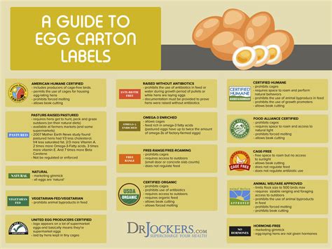 10 Key Health Benefits Of Eggs In Your Diet