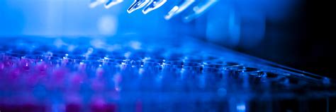 Newborn Drug Testing Usdtl