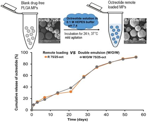 Loading Peptides In Uncapped Plga Microspheres For Controlled Release