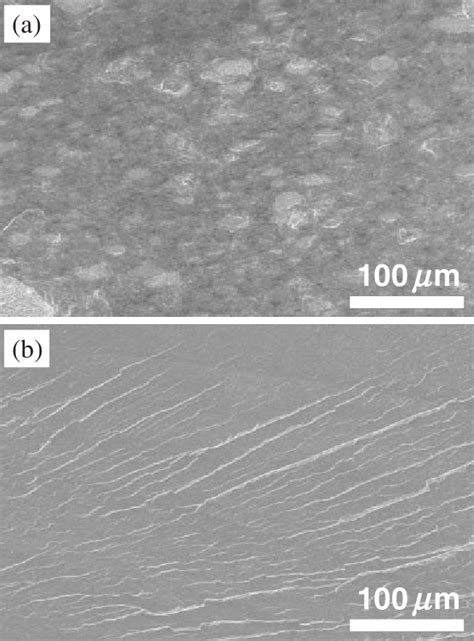 Scanning Electron Micrographs Of Fracture Surfaces Of Mwcnt Elastomer Download Scientific