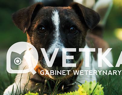 Leczenie Zwierz T Gabinet Weterynaryjny Projects Photos Videos