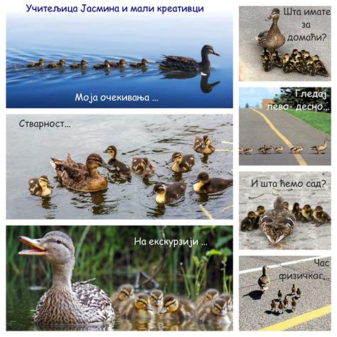 Учитељица Јасмина и мали креативци