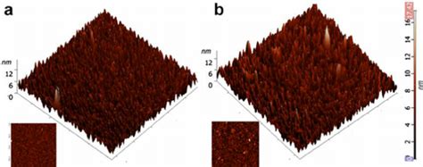 Afm Images Showing The Surface Morphology Of The Zwitterionic Download High Quality