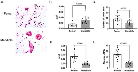 Analysis Of Bulk Rna Seq Data From Monocytes Of 1 Year Old Mice A
