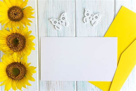 봉투 해바라기 꽃 밝은 나무 배경에 선물 상자와 템플릿 해바라기의 꽃과 함께 우편물 용 배너 플랫 레이 상단 보기 0명에 대한