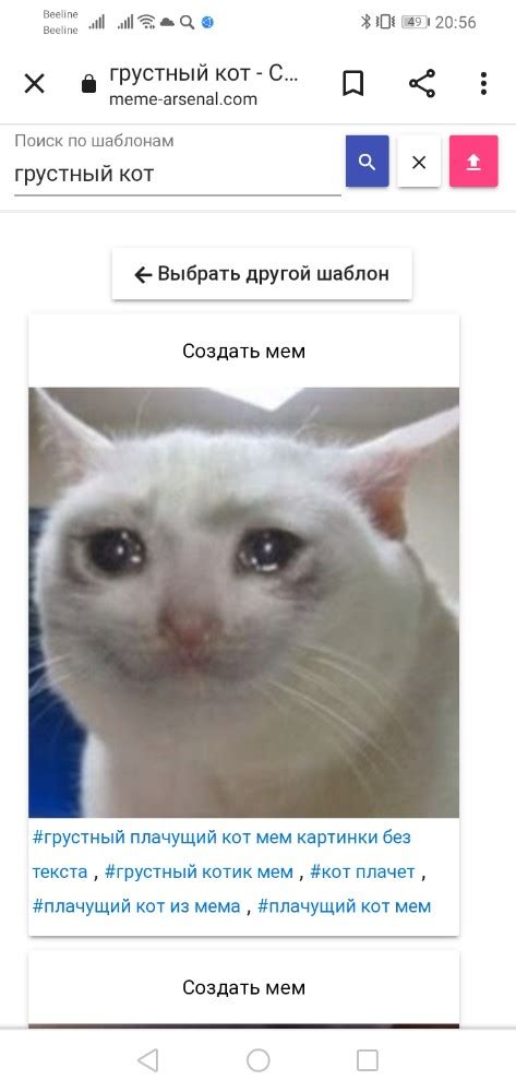 Create Meme Cat Crying Meme Sad Cat Meme Meme Crying Cat Pictures