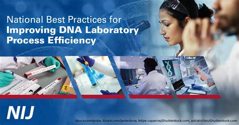 National A New Guide Helps Dna Forensic Labs Improve Efficiency In A Multitude Of Tasks Such