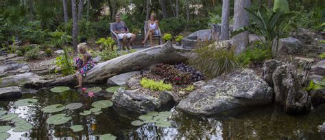 Why Freeze After Warm Days Are Bad For Landscape