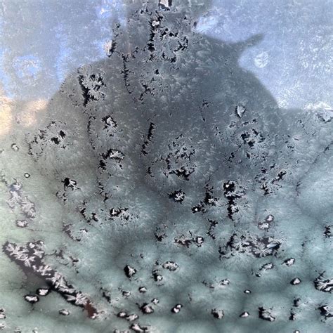 Materialsscience Metallurgy Solidification Dendrites