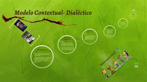 Modelo Contextual Dialéctico En Psicología Teoría Y Aplicaciones