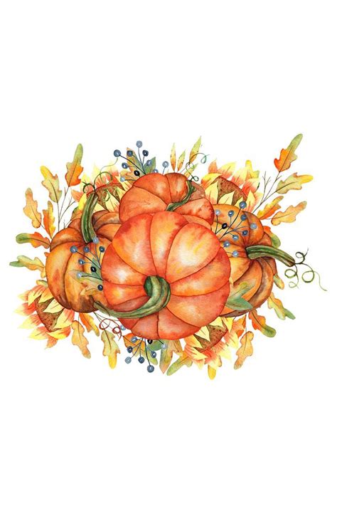 Pumpkins Тыквы Png Тыквы Рисунки Рисунки девушки