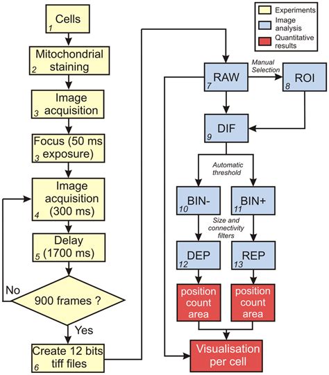 Combined Experimental And Computational Strategy For Quantitative Download Scientific Diagram