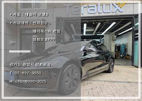 테슬라 모델3 신차검수 테라룩스ir 썬팅 생활보호ppf 네이버 블로그