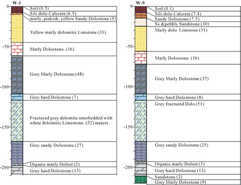 Lithologic Logs Of W 1 And W 9 Download Scientific Diagram