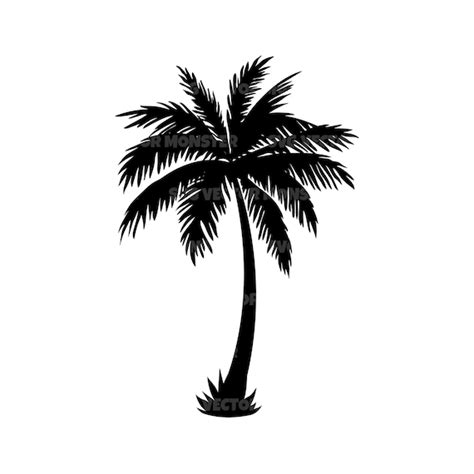 Digital Files Palm Tree Vector File Pdf Png Dxf Palm Svg File Eps Svg The Best Porn Website