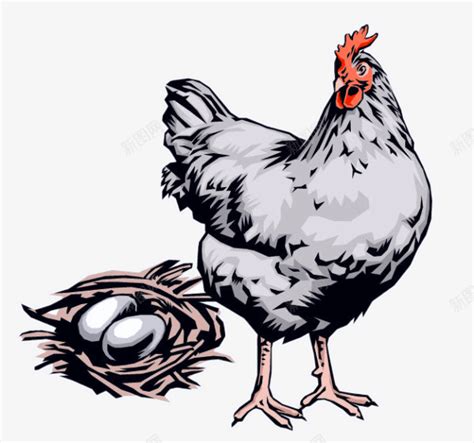 Png Tuuthldt Icon