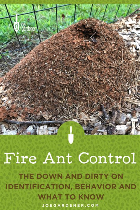 Fire Ant Control Artofit