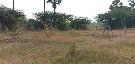 Commercial Open Land For Lease Or Rent At Chepuru Tuni