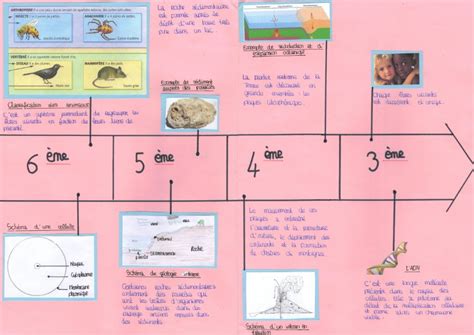 Evolution Des Organismes Et Histoire De La Terre Cours Svt Vive Les