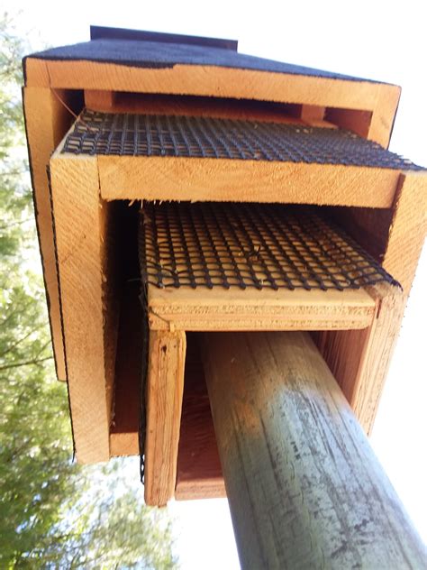 Rocket Bat Box Pands Country Crafts